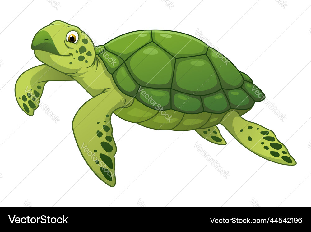 Sea turtle cartoon animal Royalty Free Vector Image