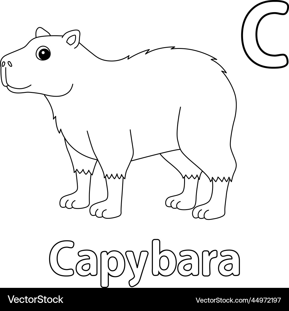 Capybara animal alphabet abc isolated coloring c Vector Image