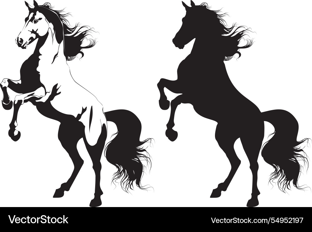 Horse Royalty Free Vector Image - VectorStock