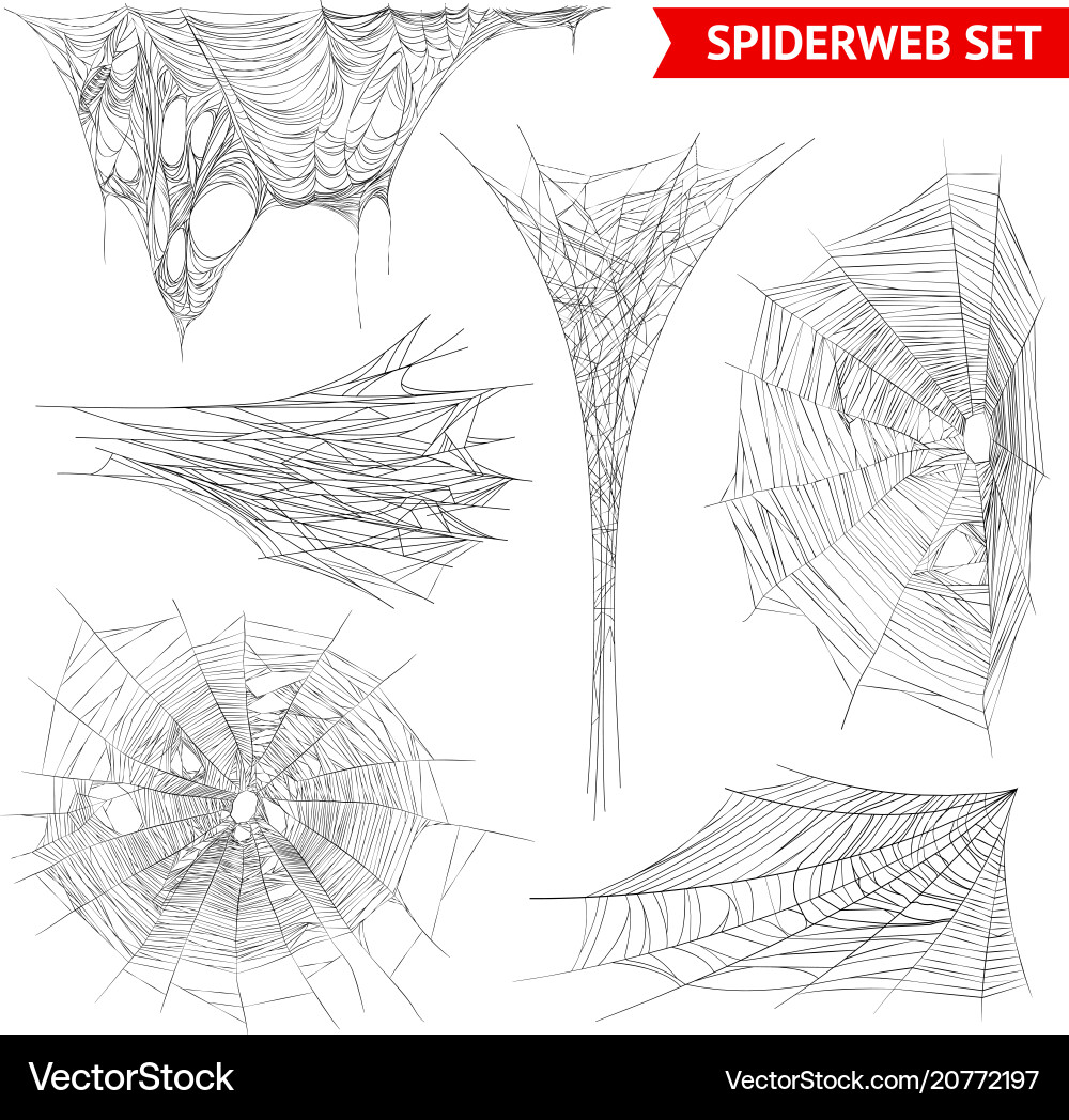 Realistic spider web cobweb set Royalty Free Vector Image