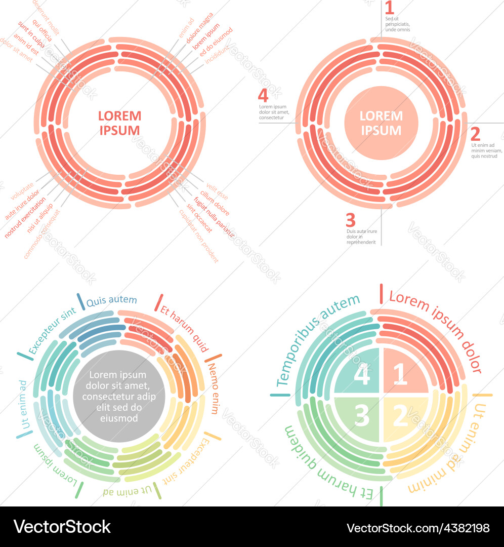 Circle infographics diagram Royalty Free Vector Image