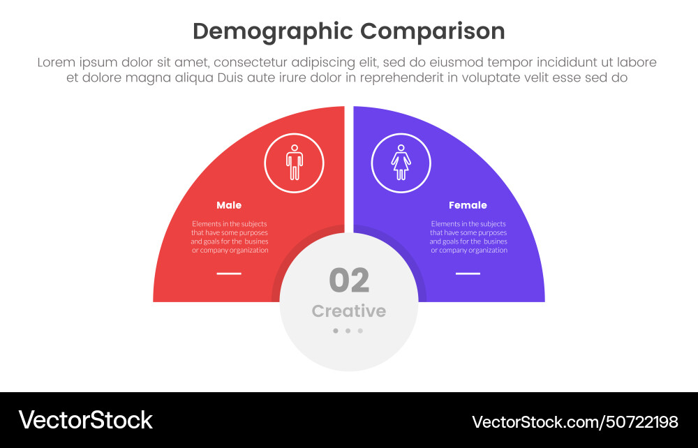 Demographic man vs woman comparison concept Vector Image