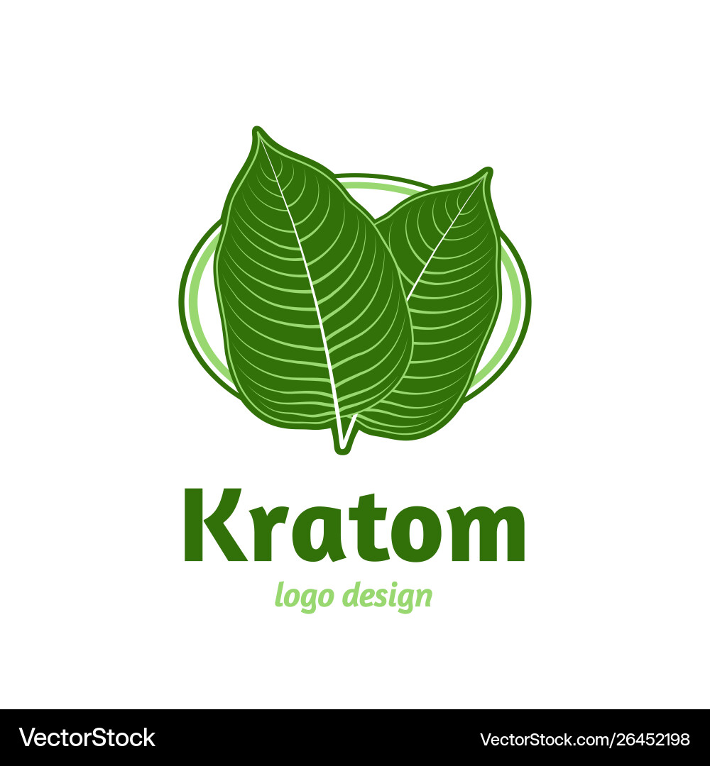 Mitragyna speciosa kratom Blatt Logo Vorlage Vektorbild