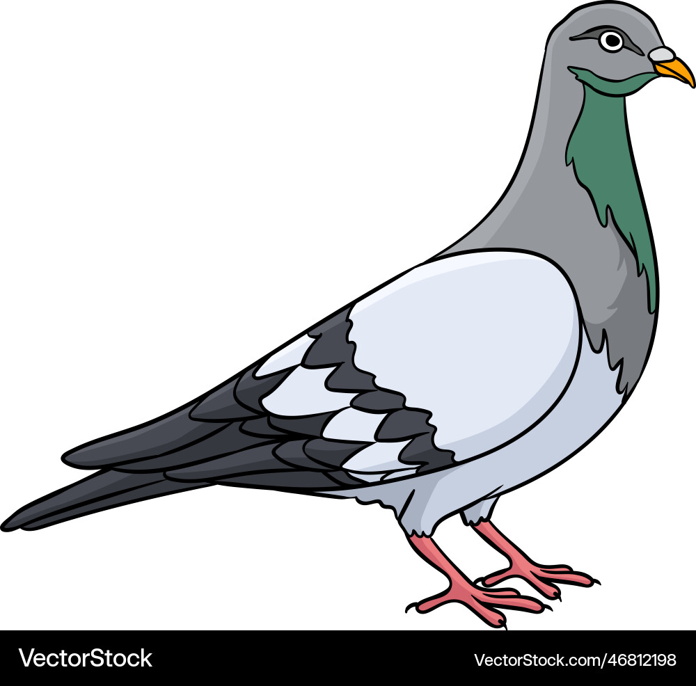 Pigeon cartoon colored clipart Royalty Free Vector Image