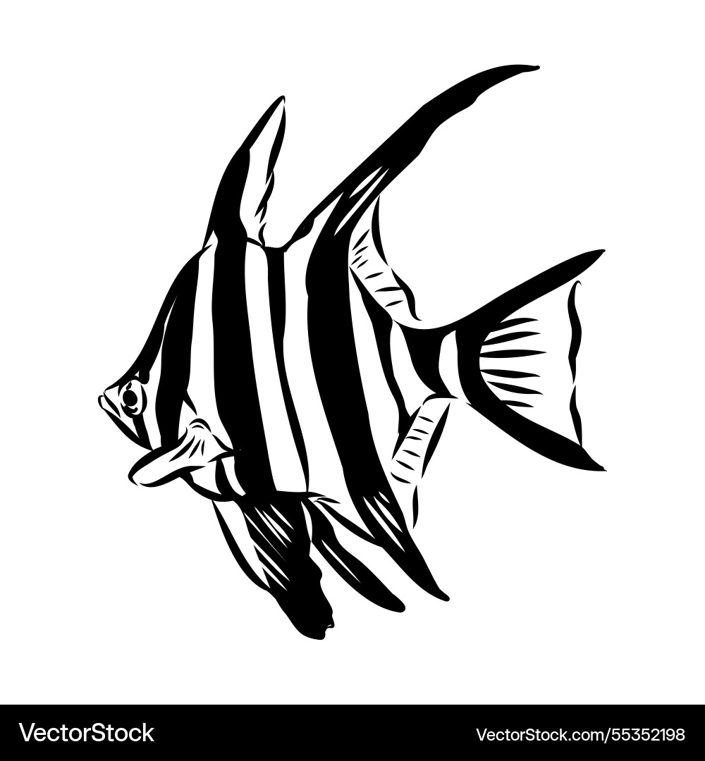 Stickleback fish sketch line ink hand Royalty Free Vector