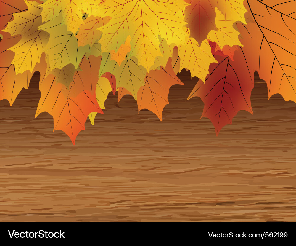 Autumn leaves border Royalty Free Vector Image