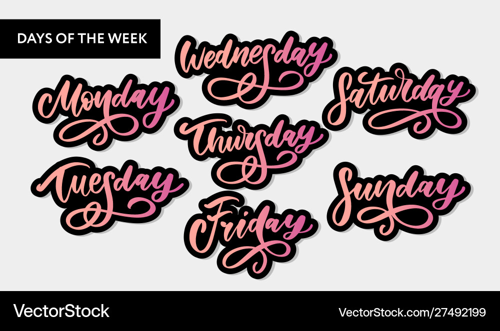 Handwritten week days and symbols set ink font Vector Image