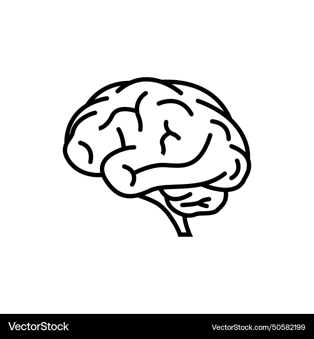 Human brain icon isolated on white Royalty Free Vector Image