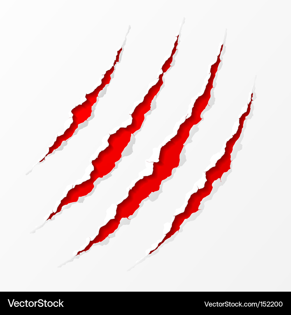Paper Tear Vector Images (over 8,200)