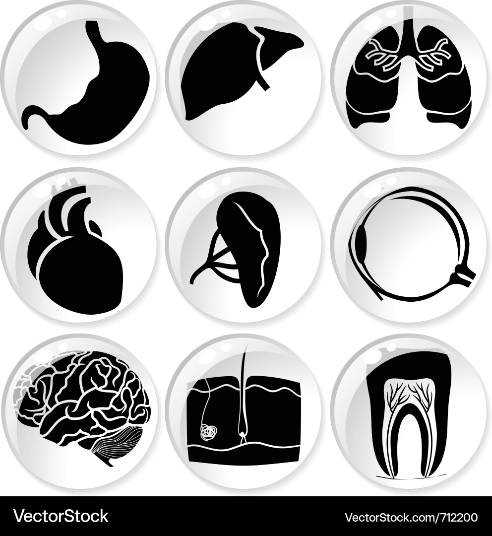 Doctor icons Royalty Free Vector Image - VectorStock