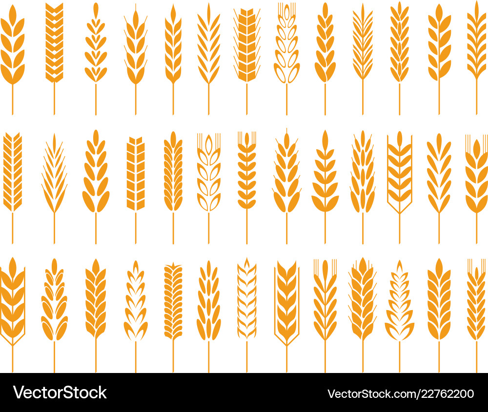 Rice Bran Logo Vector Images (over 160)