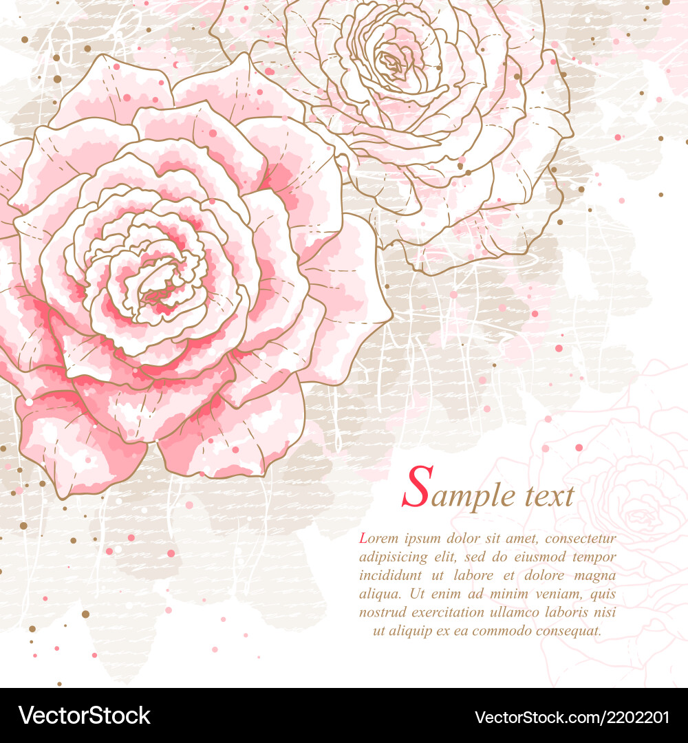 Romantic Pink Rose Watercolor Background Vector Image
