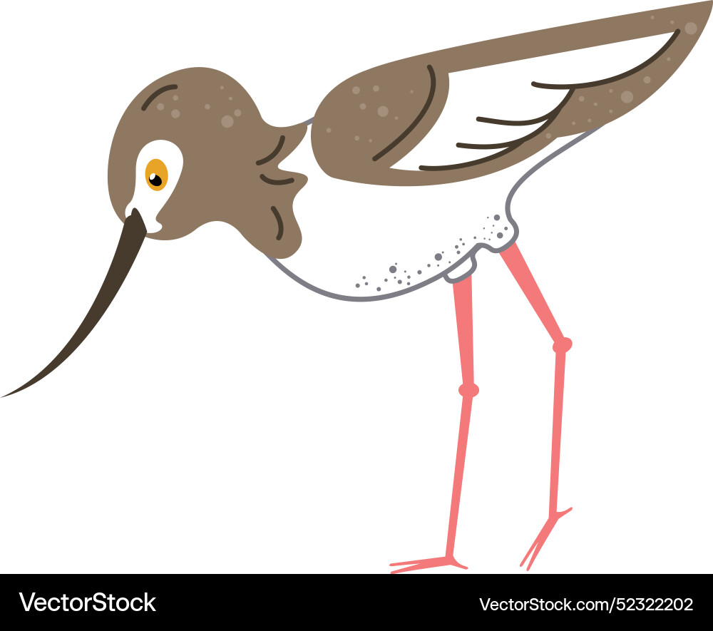 Common sniper bird Royalty Free Vector Image - VectorStock