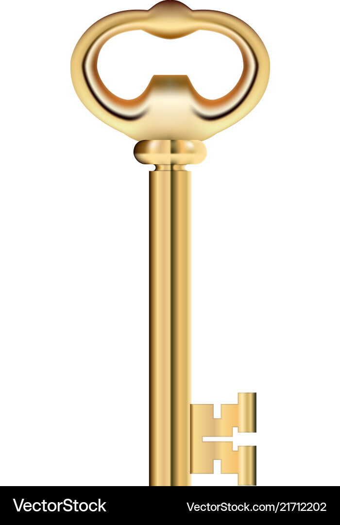 Golden key isolated on white background Royalty Free Vector