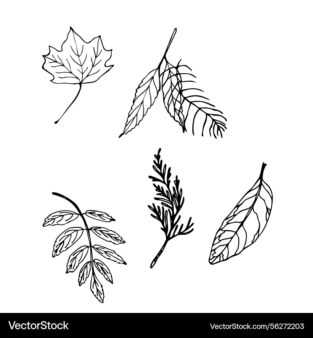 Hand-drawn autumn fall icon set with various Vector Image
