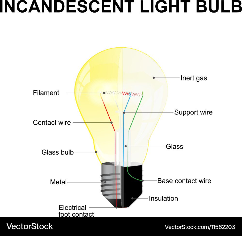 Incandescent Light Bulb Anatomy Royalty Free Vector Image