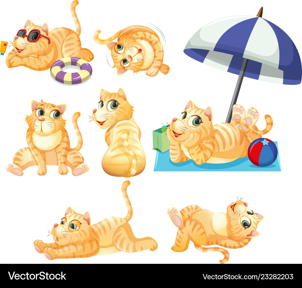 Set of cat character Royalty Free Vector Image