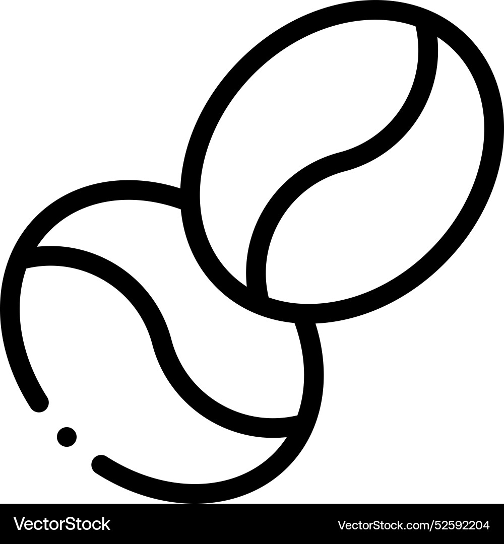 Coffee beans icon thin linear style design Vector Image