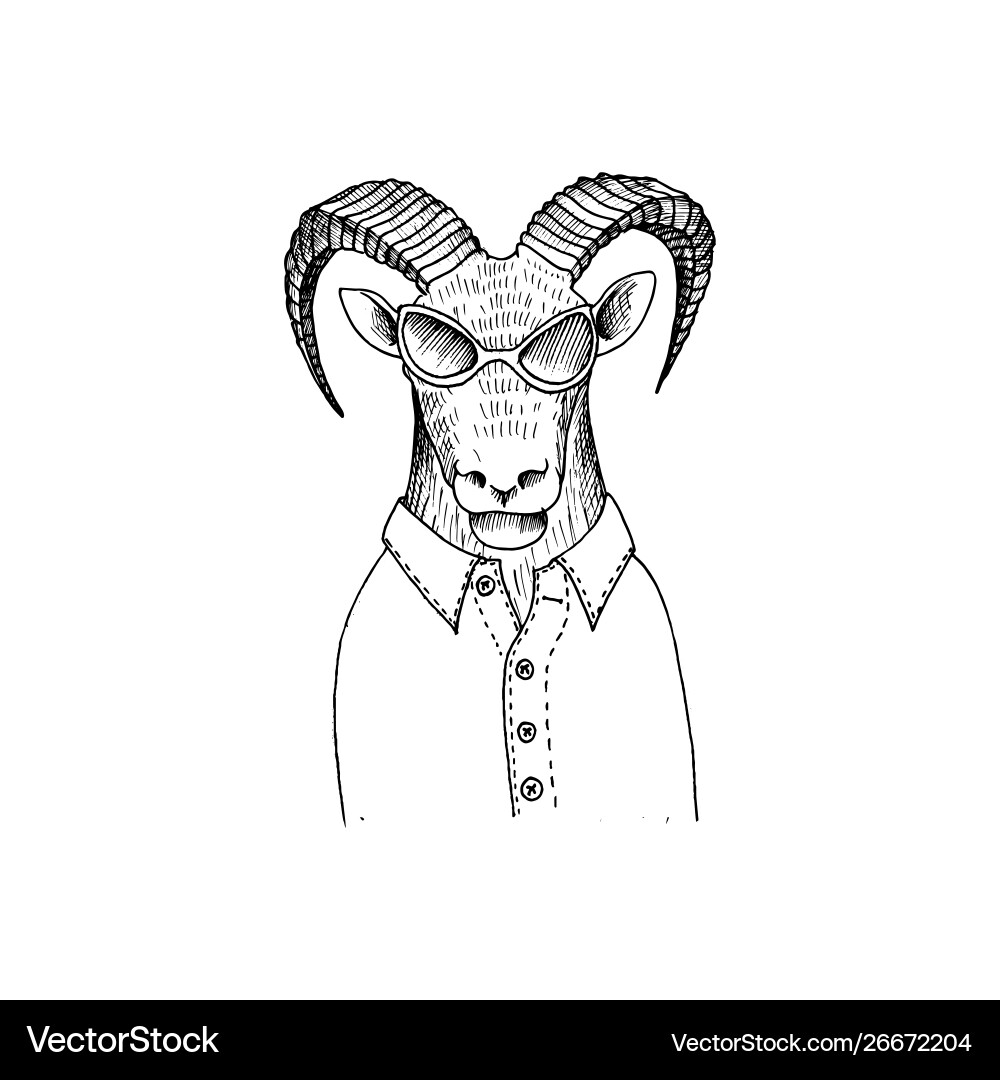 Hand drawn head mutton Royalty Free Vector Image