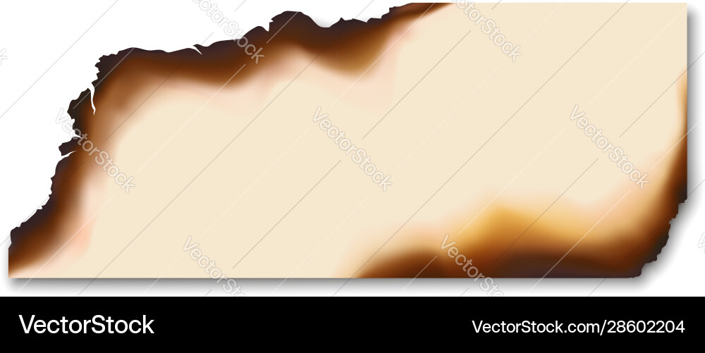 Piece paper with burnt edges isolated page Vector Image