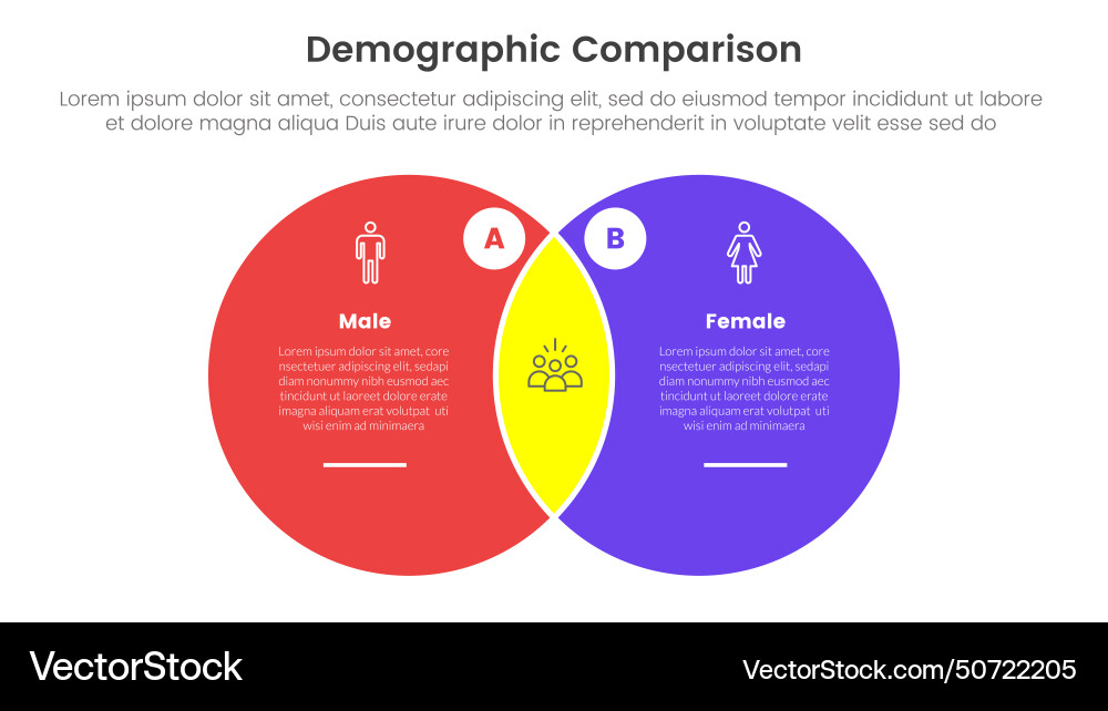 Demographic man vs woman comparison concept Vector Image