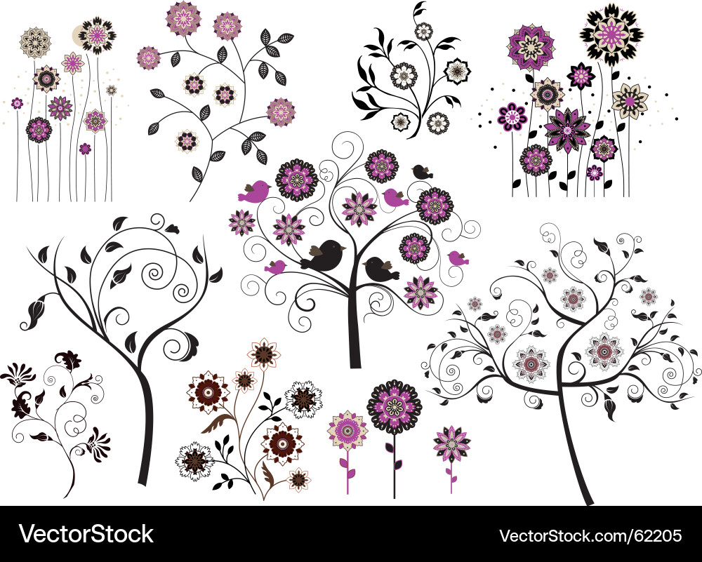 Floral design elements Royalty Free Vector Image