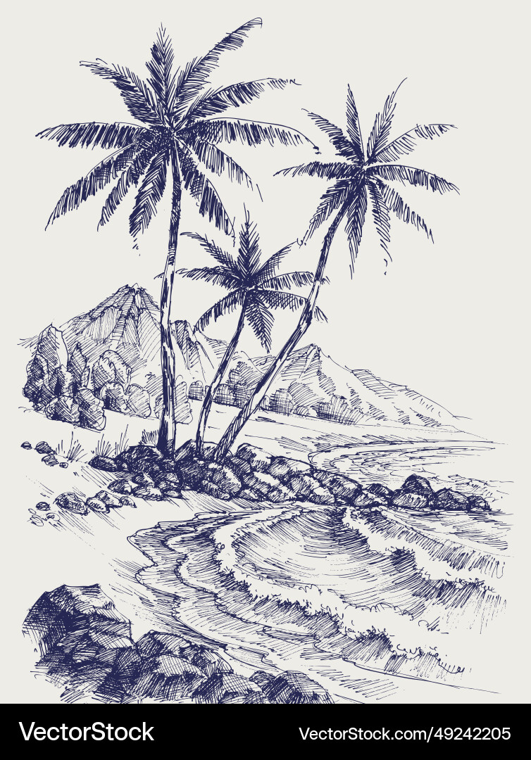Palm trees on rocky sea shore hand drawing Vector Image