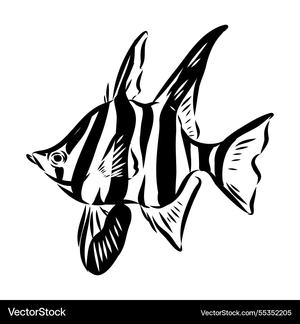 Stickleback fish sketch line ink hand Royalty Free Vector