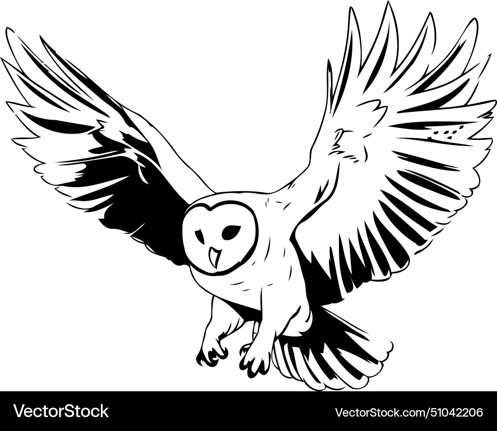 An owl flying in the air Royalty Free Vector Image