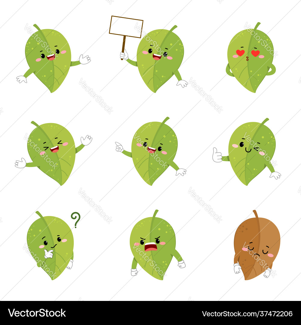 Set cute leaf cartoon characters Royalty Free Vector Image