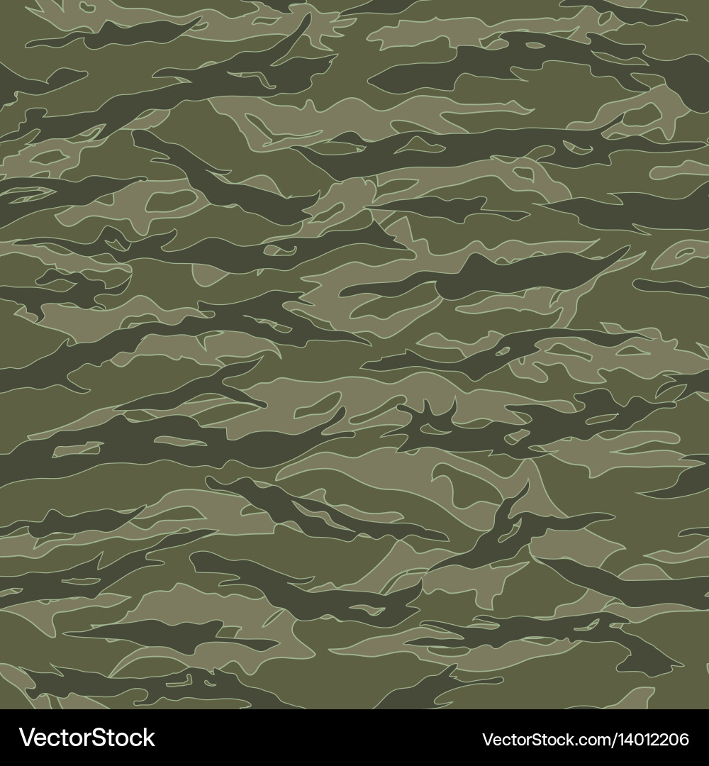 Vietnam Tiger Stripe Camo Pattern Royalty Free Vector Image