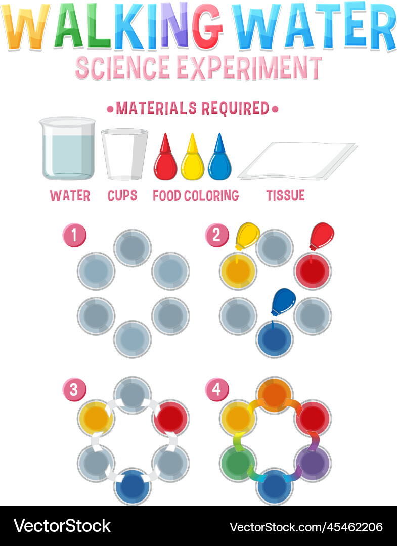 Walking water science experiment Royalty Free Vector Image