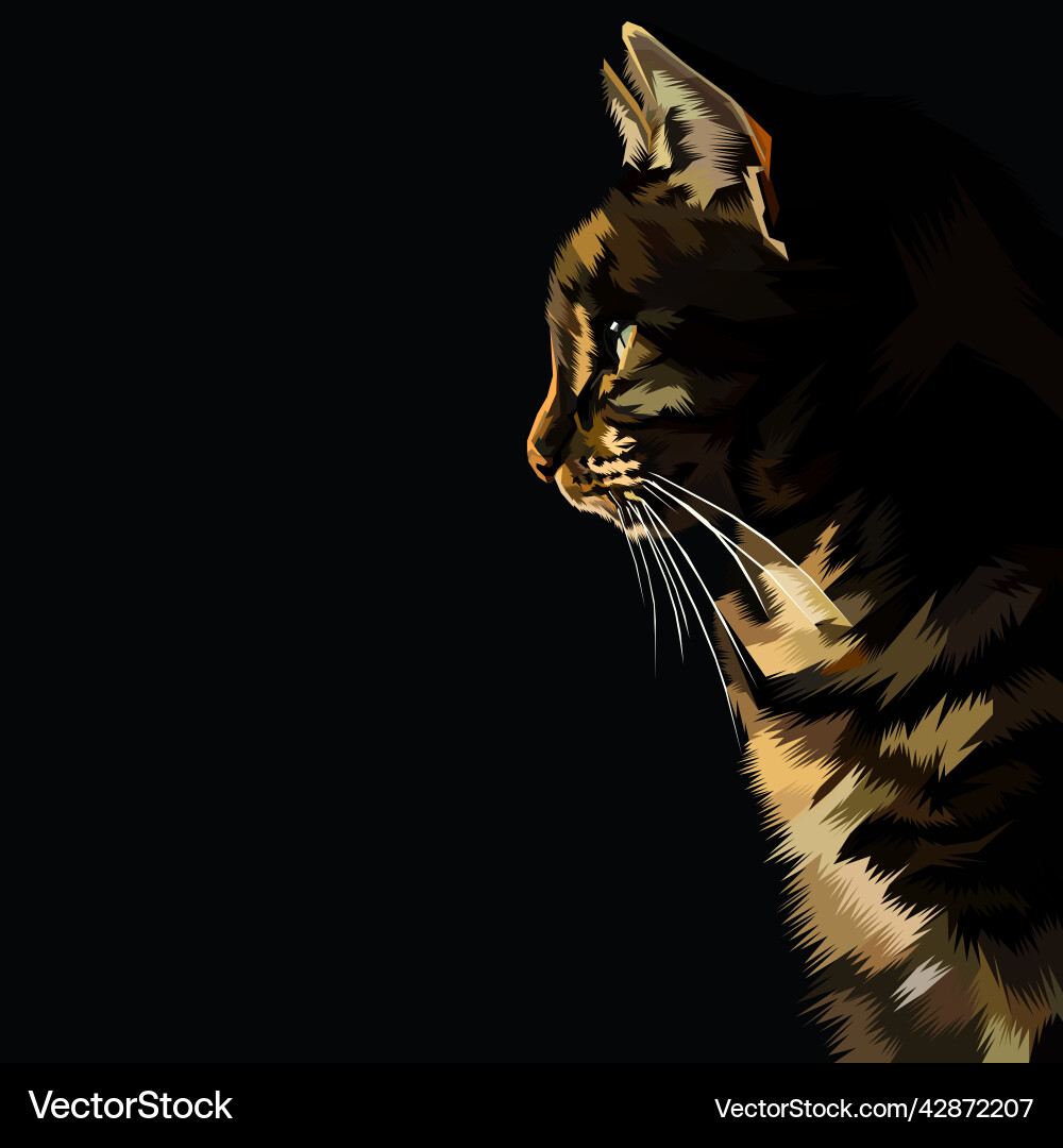 Colorful cat Royalty Free Vector Image - VectorStock