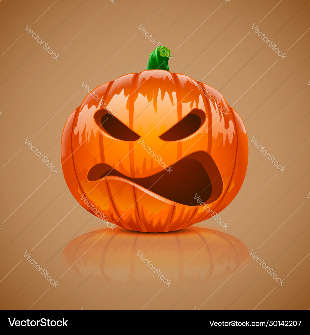 Realistic pumpkin with shadow and reflect Vector Image
