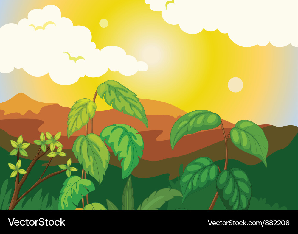 Sunrise Royalty Free Vector Image - VectorStock