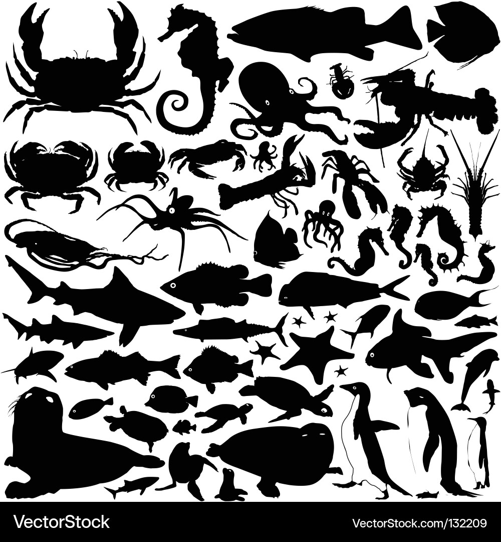 Freshwater Aquarium Vector Images (over 4,800)