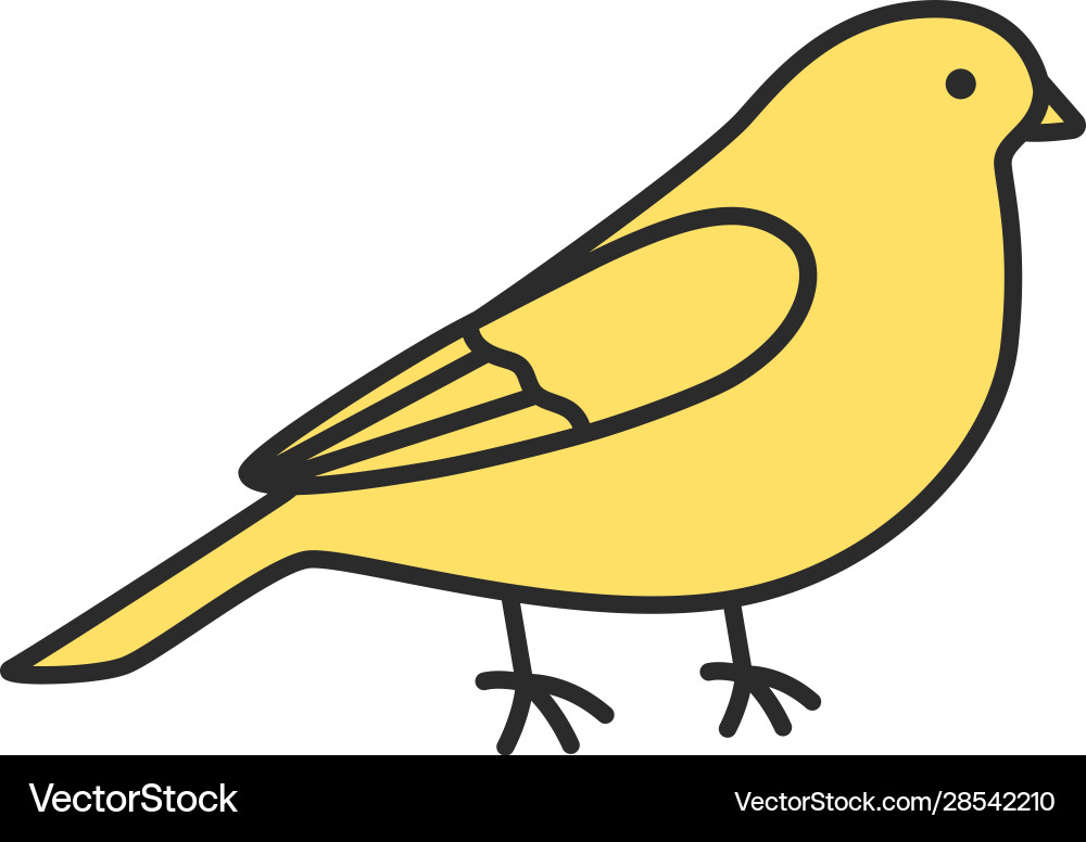 Canary color icon Royalty Free Vector Image - VectorStock