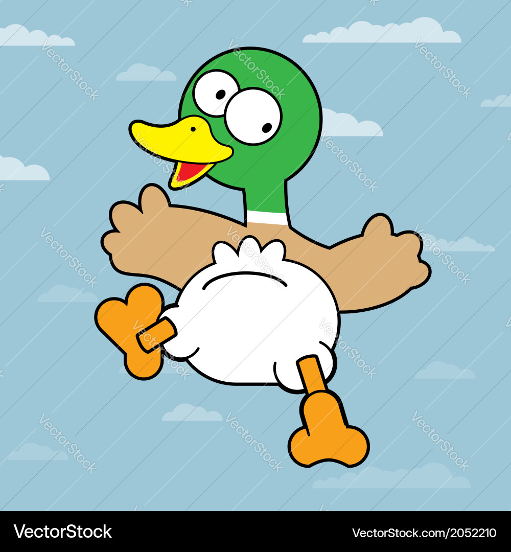 Cartoon Mallard Duck Royalty Free Vector Image