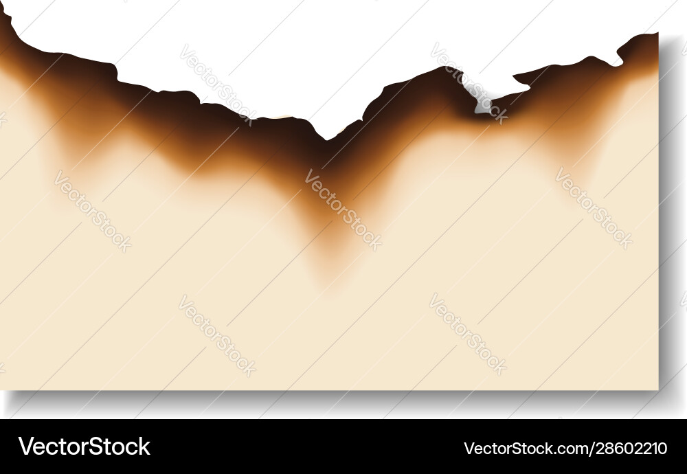 Piece paper with burnt edges isolated page Vector Image