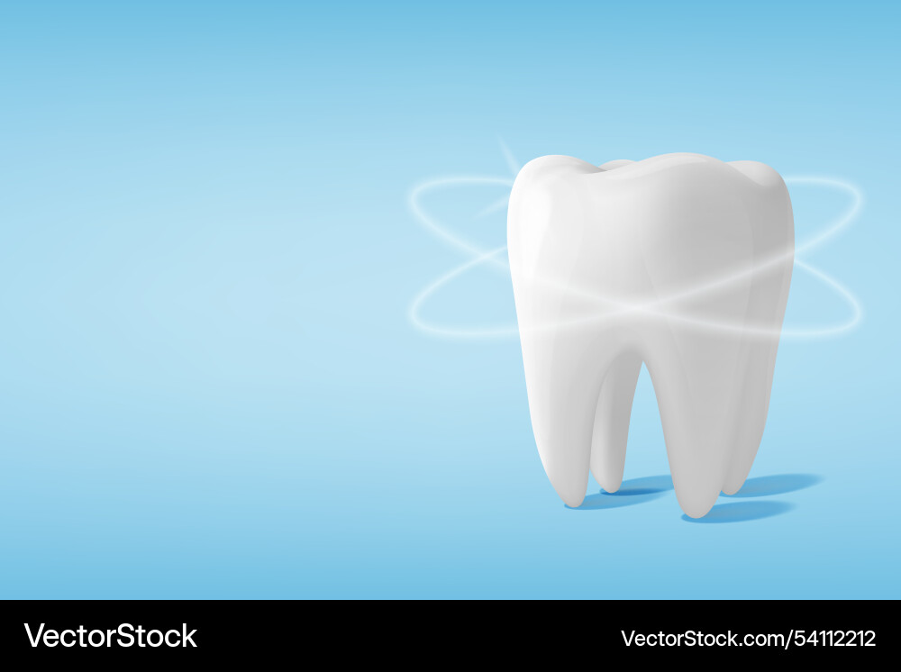 3d realistic healthy shining tooth isolated Vector Image