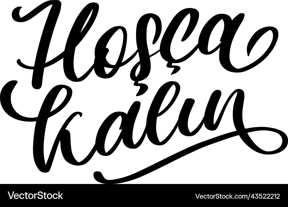 Text in the turkish good bye letter on white Vector Image