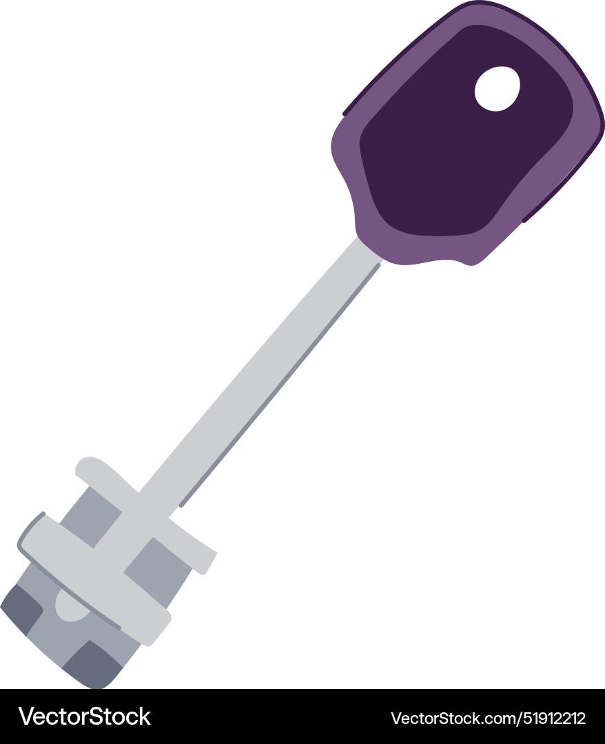 Unlock key cartoon Royalty Free Vector Image - VectorStock