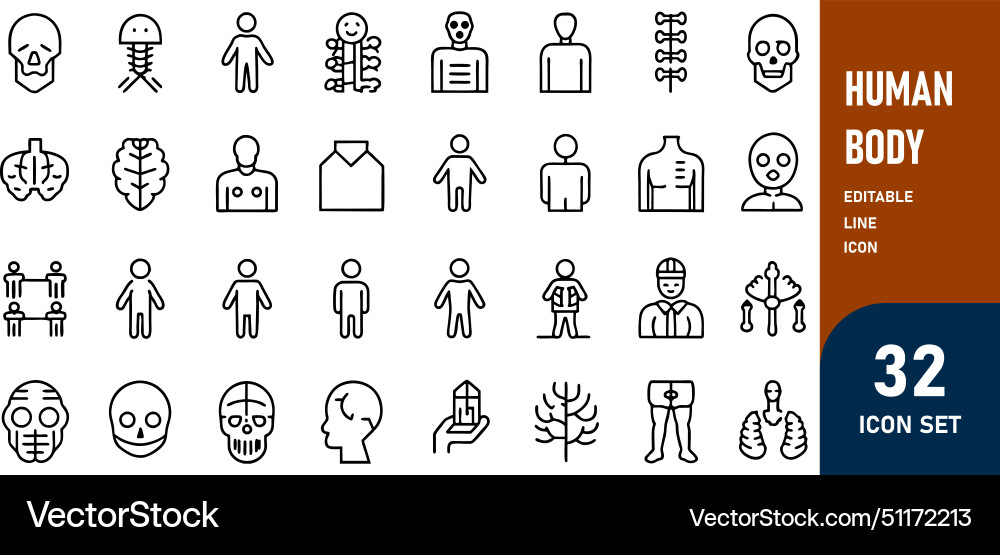 Human body line editable icons set Royalty Free Vector Image
