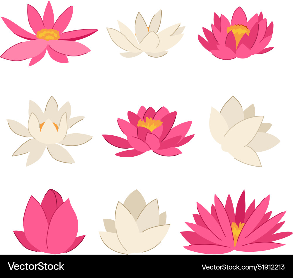 Lotus flower set cartoon Royalty Free Vector Image