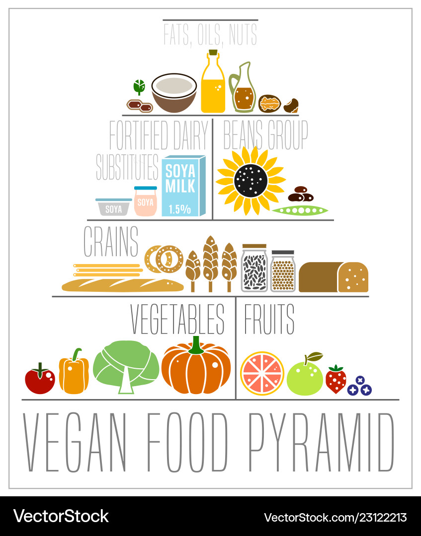 Vegan food pyramid Royalty Free Vector Image - VectorStock
