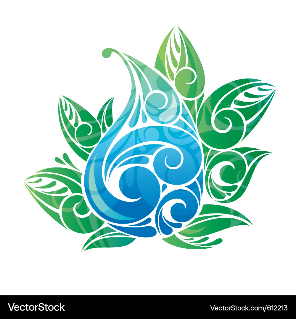 Water drop leaves Royalty Free Vector Image - VectorStock