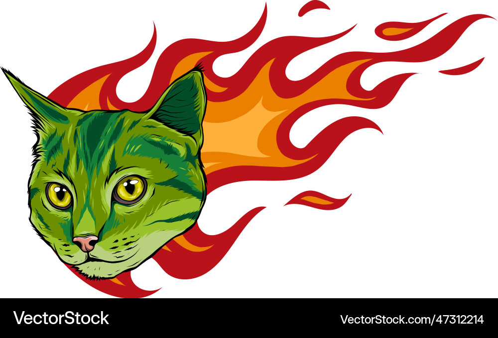 Cat head with flames Royalty Free Vector Image