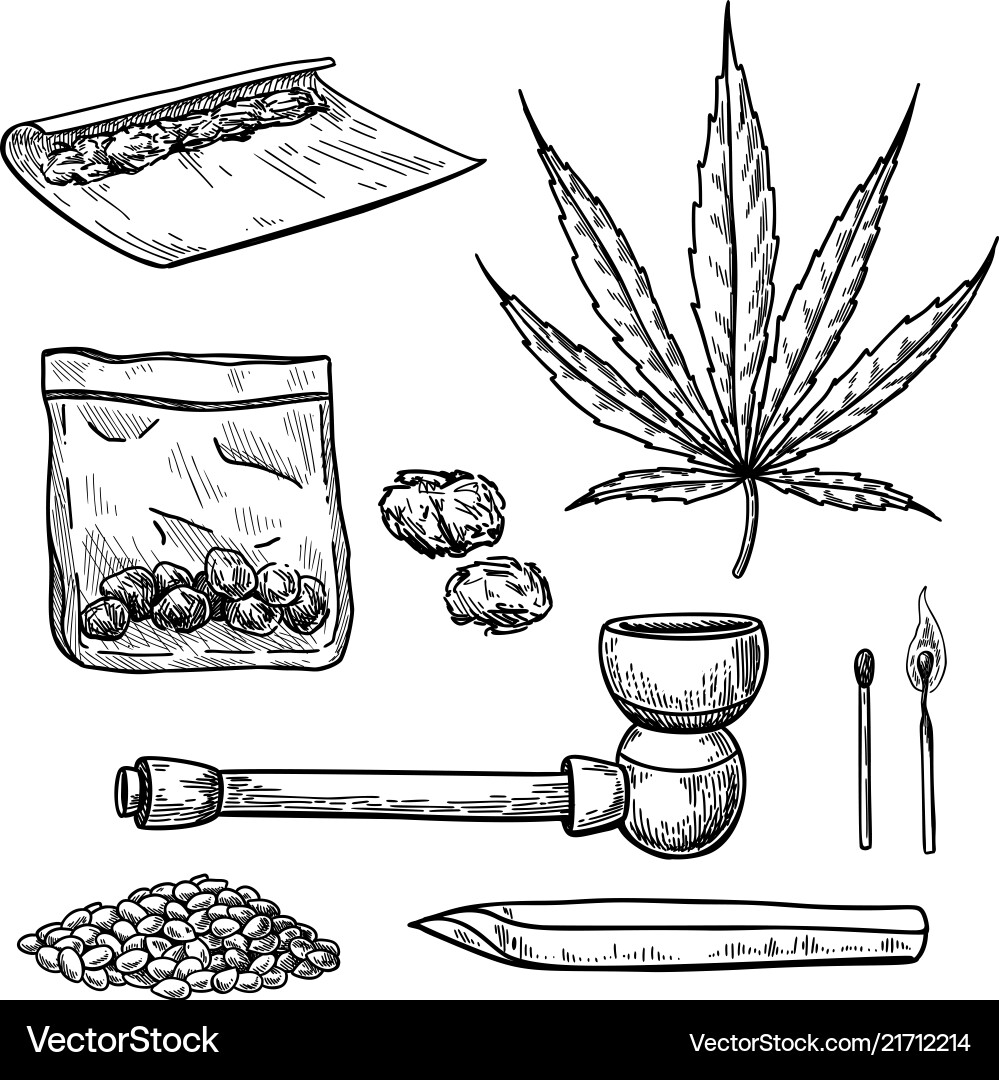 Weed Plant Outline Drawing Drawn Weed Leaf Stock Illustrations