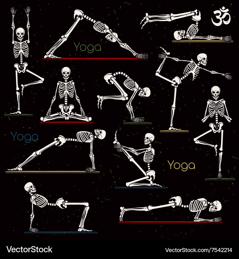 Skeleton practicing yoga Royalty Free Vector Image