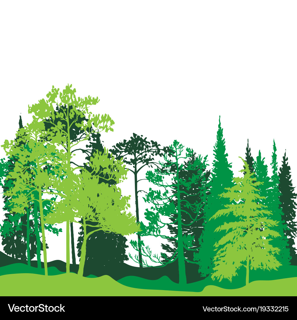 Landscape with pine trees Royalty Free Vector Image